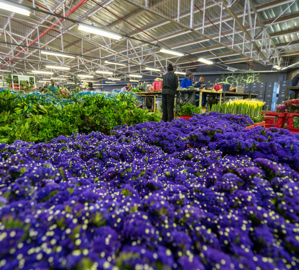 Flower Centre for Floral Arrangements | Multiflora