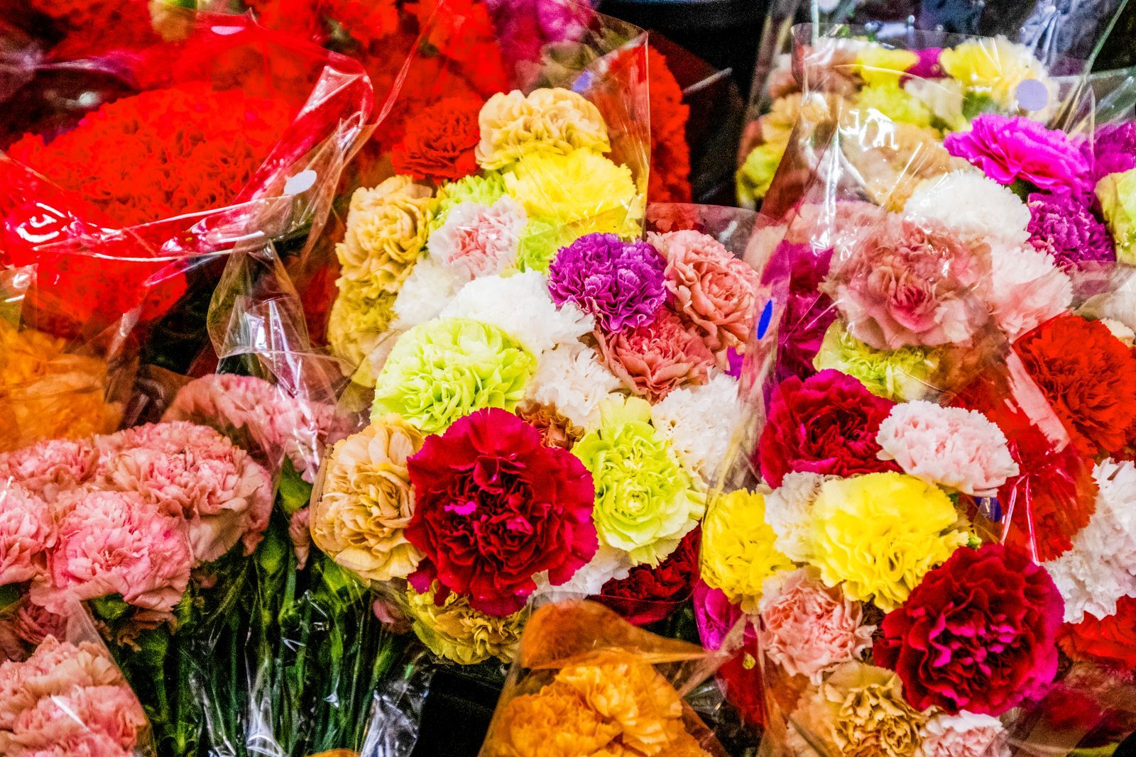 Beautiful Flowers | Flower Zone | Multiflora Mall