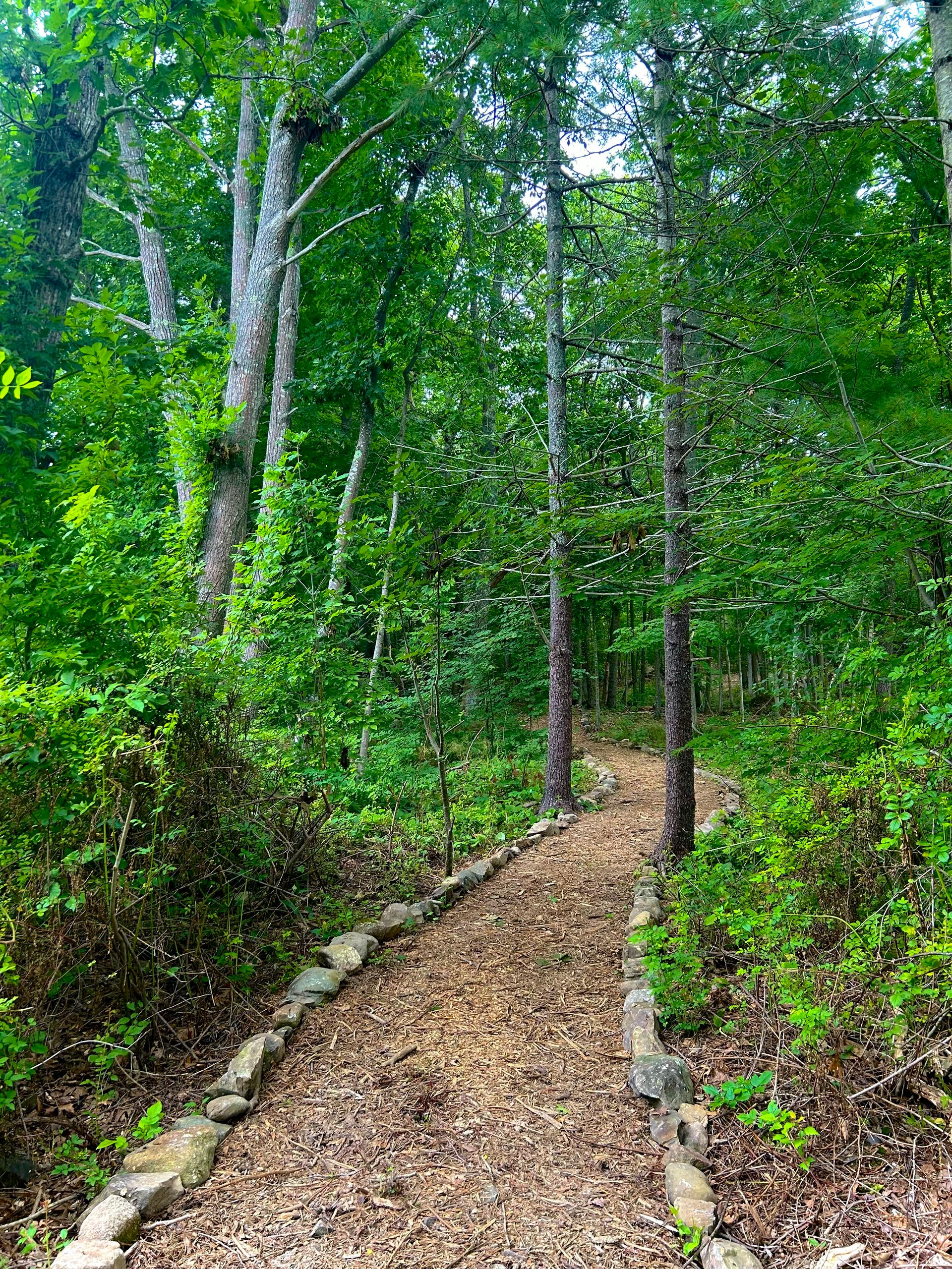 Photos and Videos of Bucksport Inn and Mid-Coast Maine