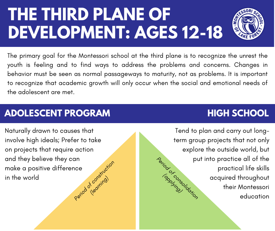 Technology @ MSLF: Vision, Plan & Guidelines