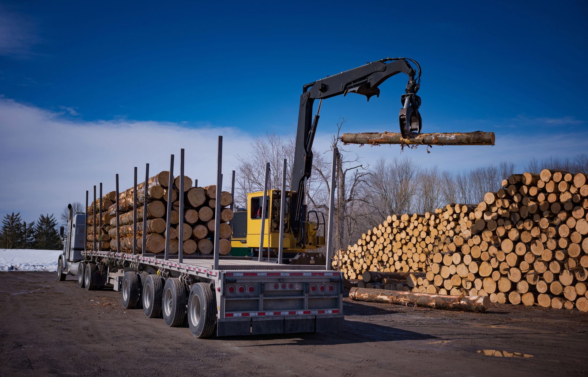 Local Forestry Management | Tonasket, WA | Will Logging
