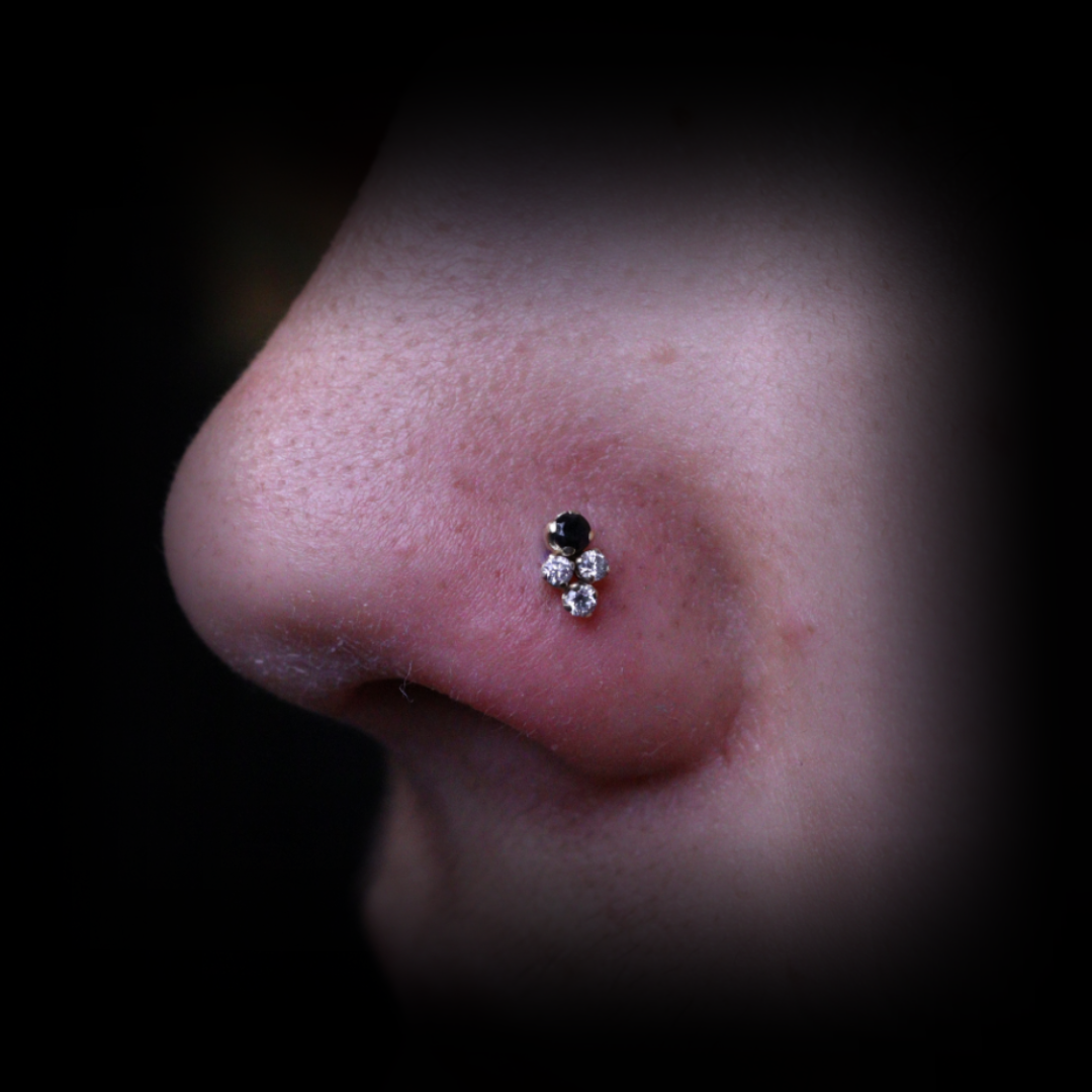 Facial Piercing Services Near Me | Eugene, OR | Area 51 Piercing