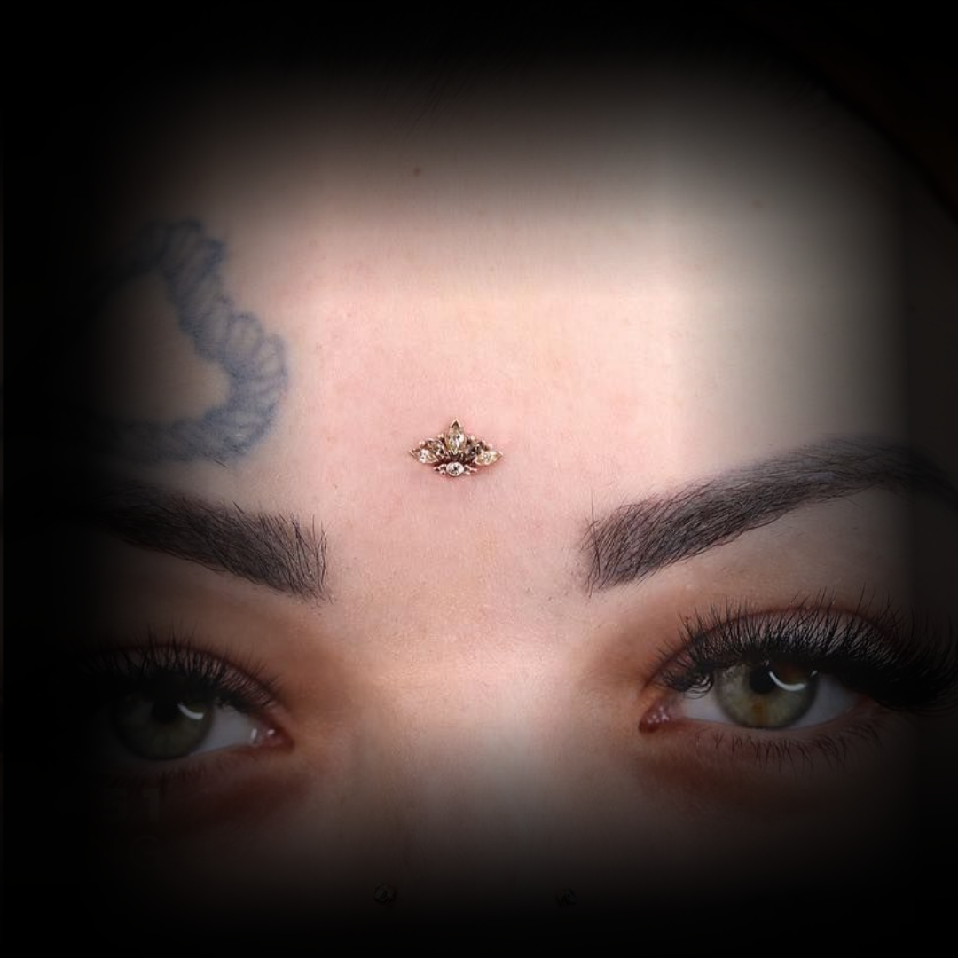 Anchor Piercing Services Near Me | Eugene, OR | Area 51 Piercing