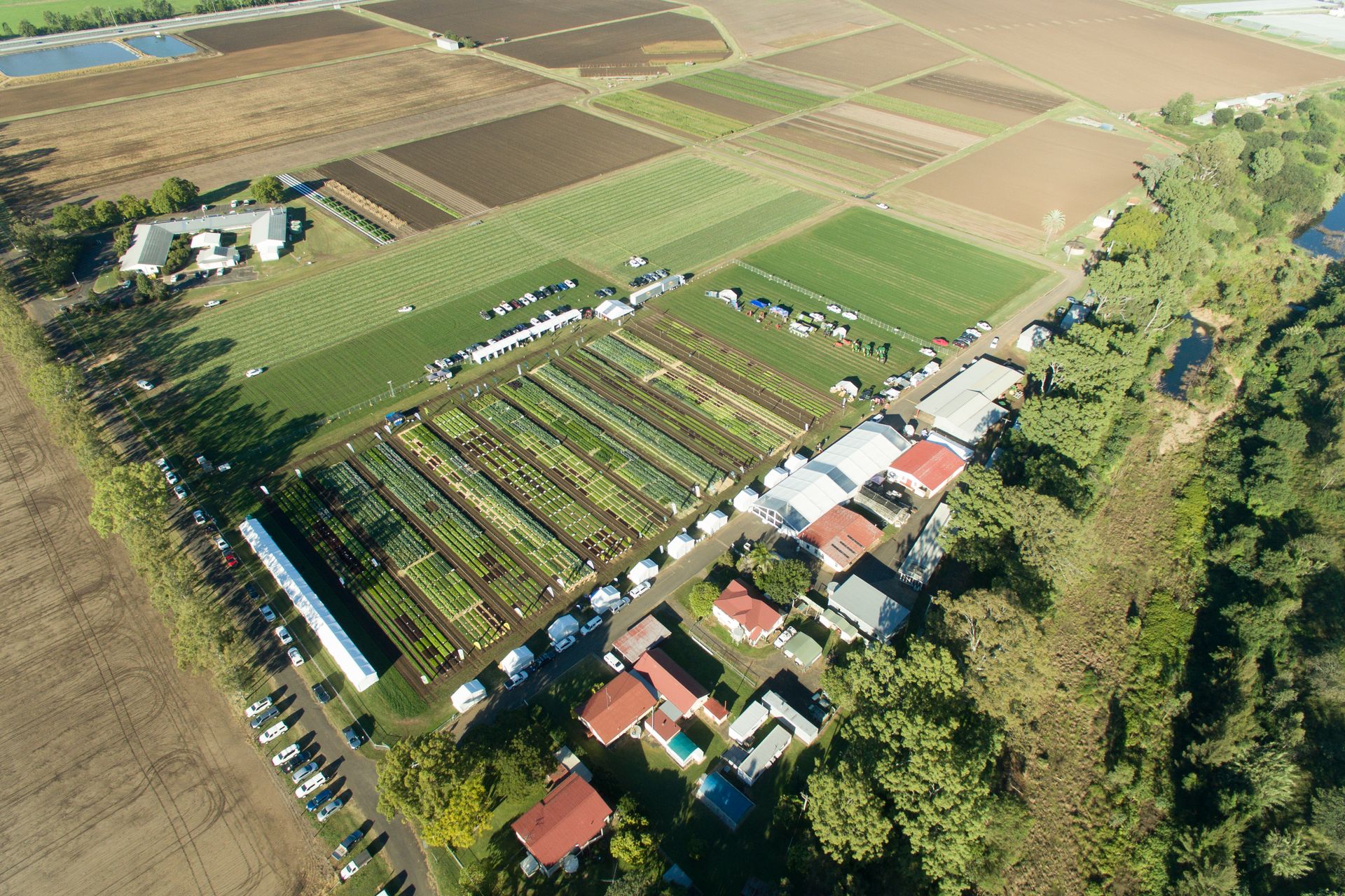 Gallery | Lockyer Valley Growers Association
