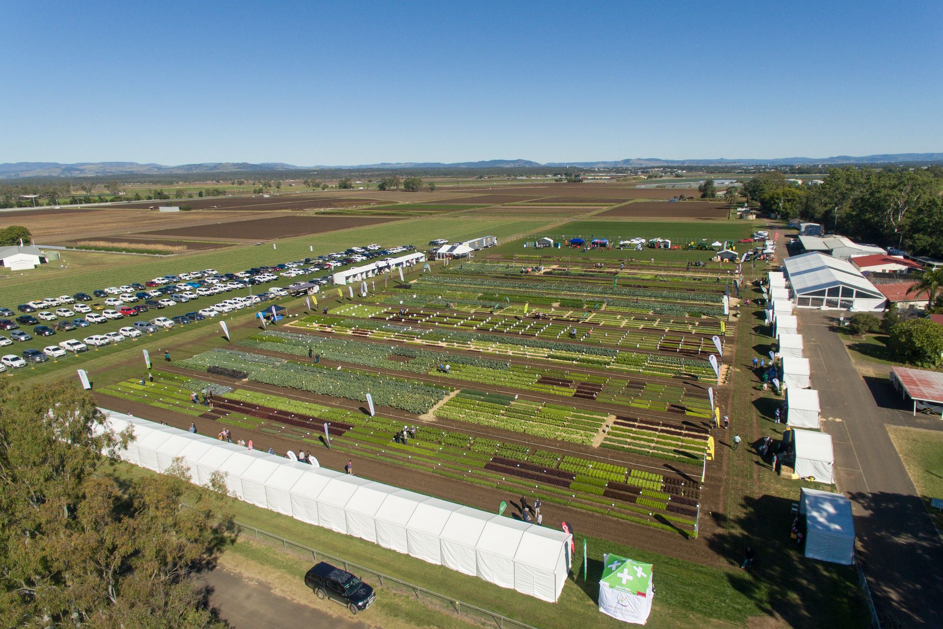 Gallery | Lockyer Valley Growers Association
