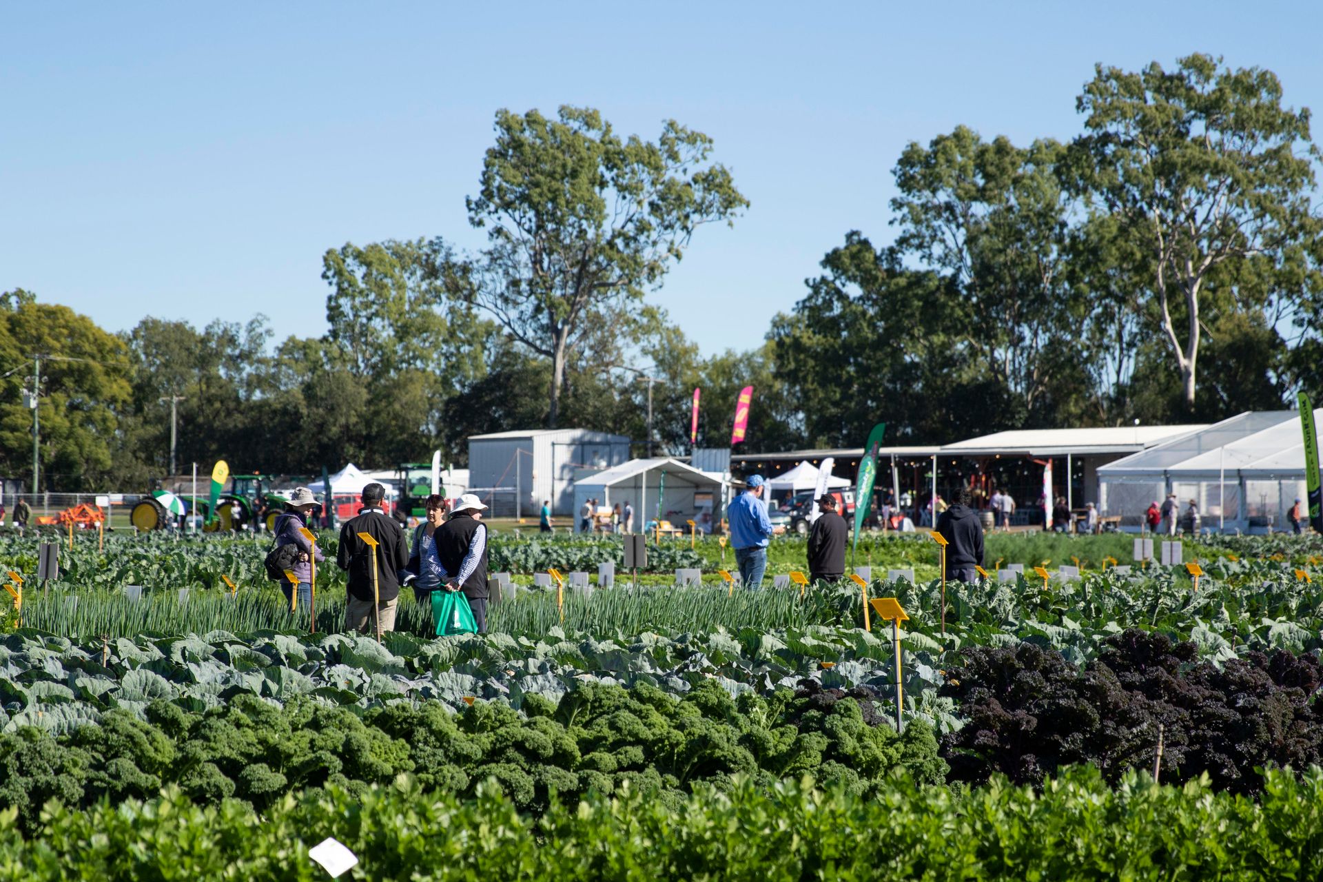 Gallery | Lockyer Valley Growers Association