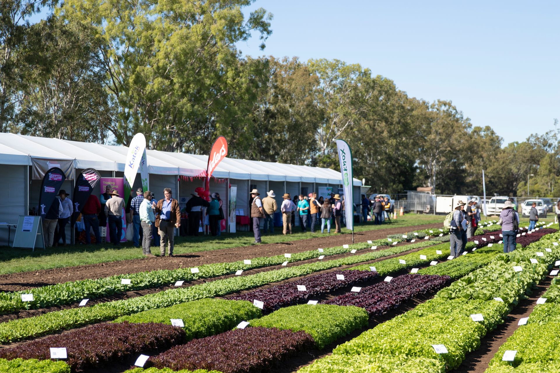 Gallery | Lockyer Valley Growers Association