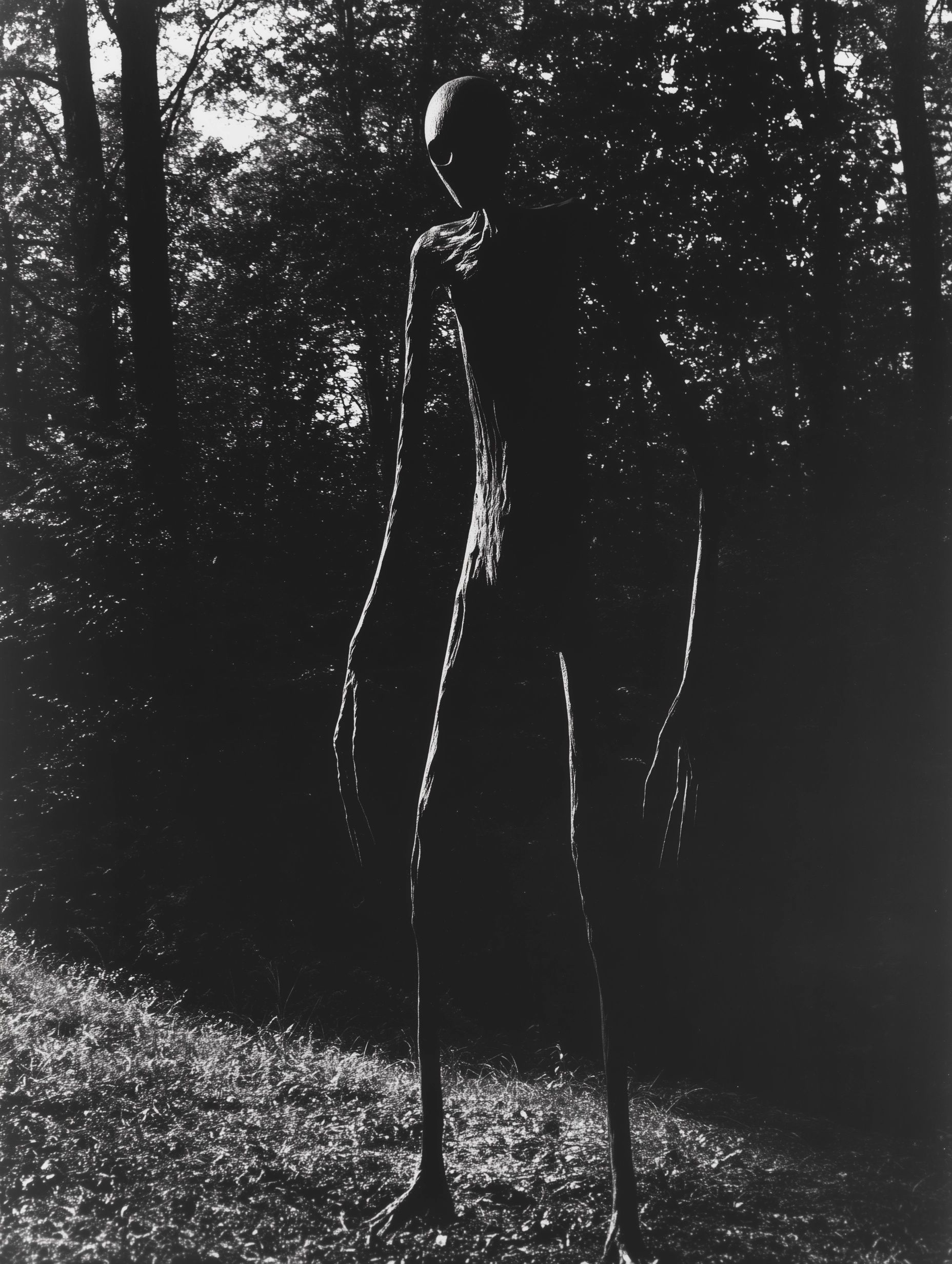 Legend of Nalusa Falaya | Mythfolks