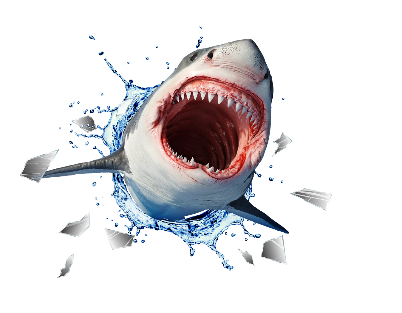 Rides & Amusements | Pleasure Pier | Galveston, TX