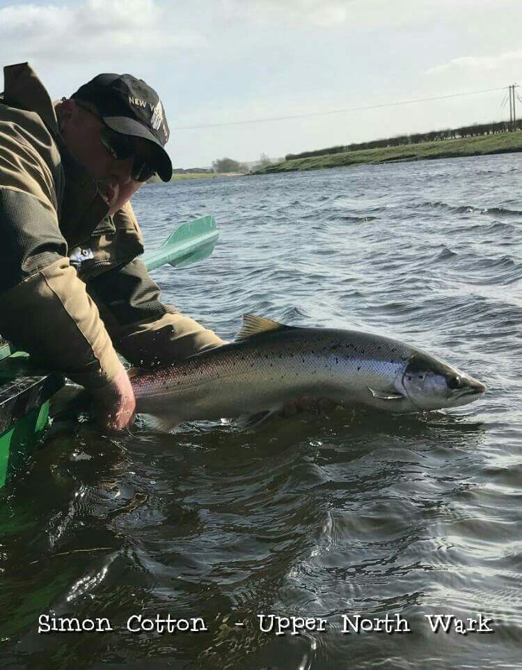 Gallery | Upper North Wark Fishing | River Tweed