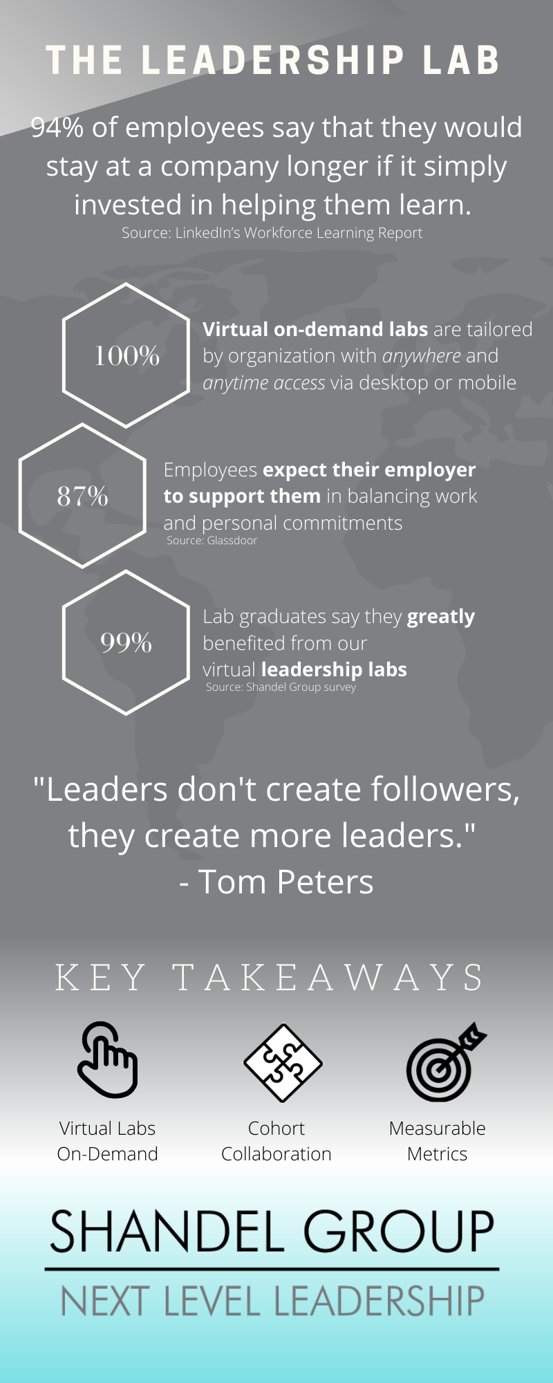 Accelerated Leadership Programs | Shandel Group