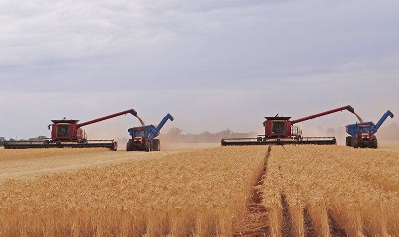 Finch Engineering Product Gallery