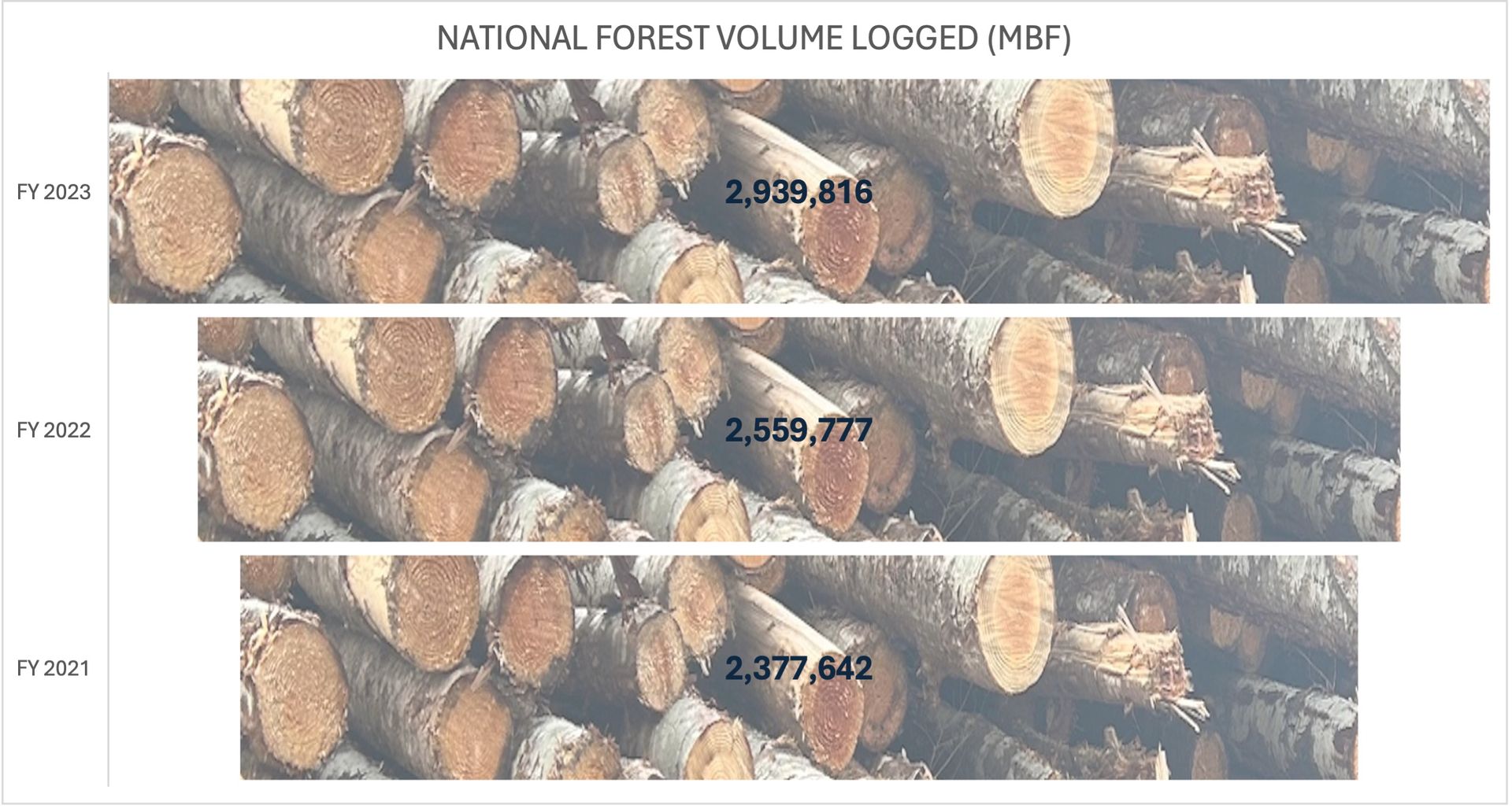 National Forest Logging Increases by 24% Under Biden's Watch