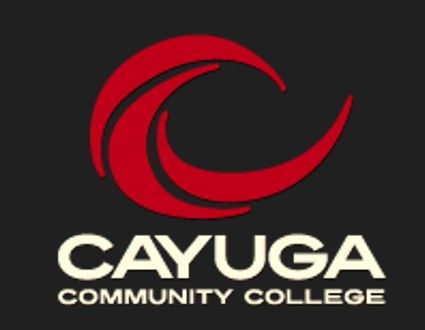 New York Community College Trustees - Albany, NY - Where We Are