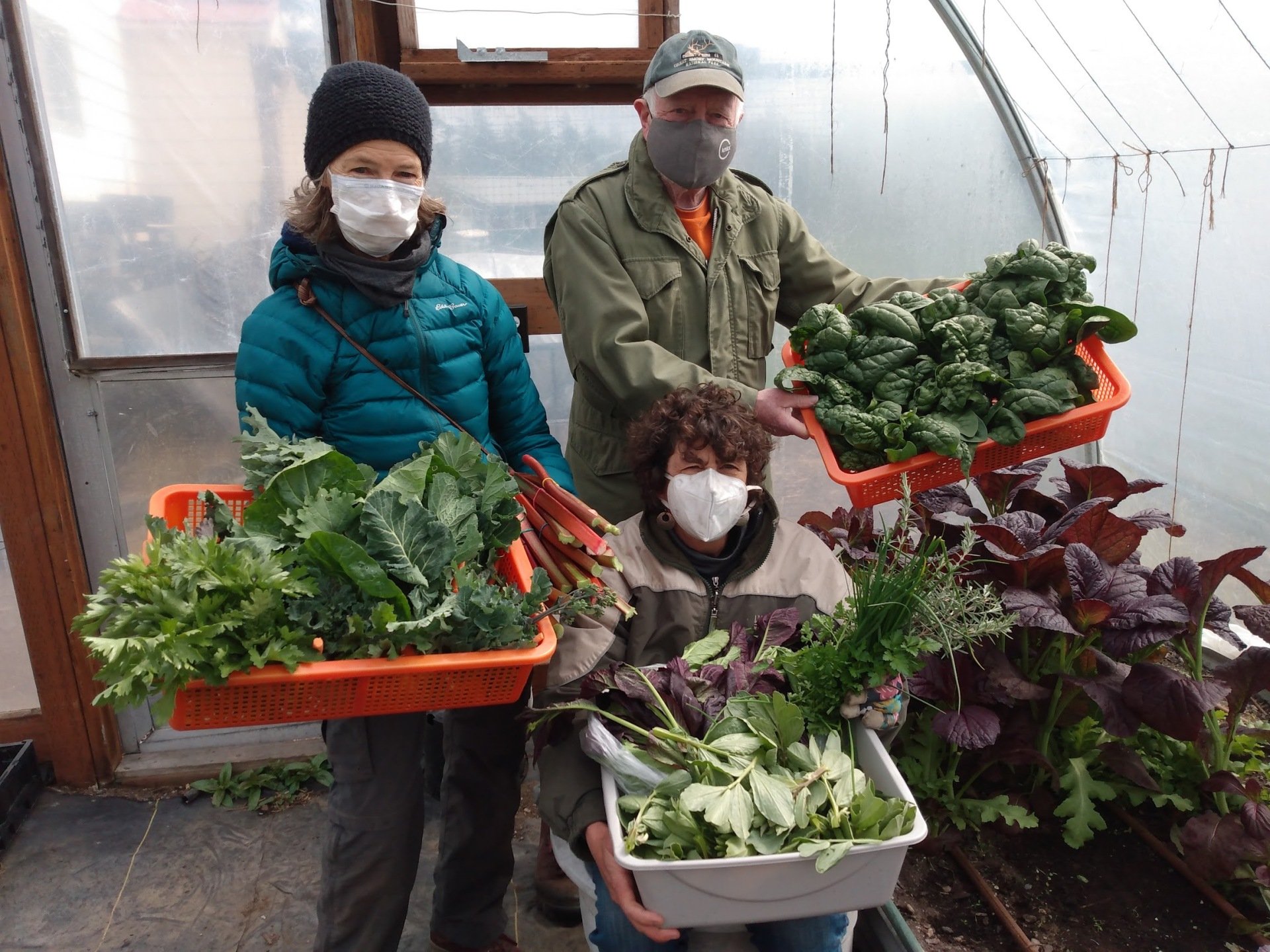 Winter Harvest for Food Bank!