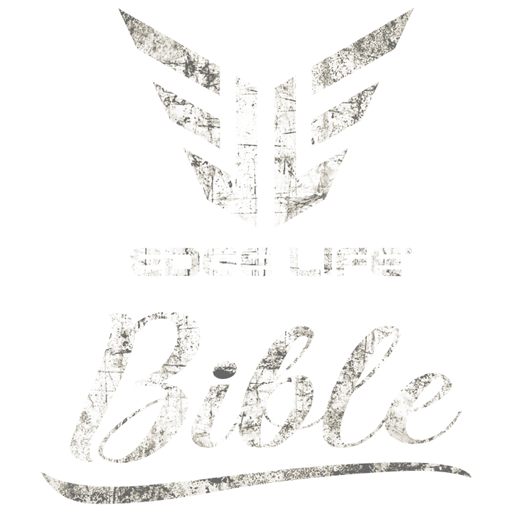 EDGE LIFE BIBLE