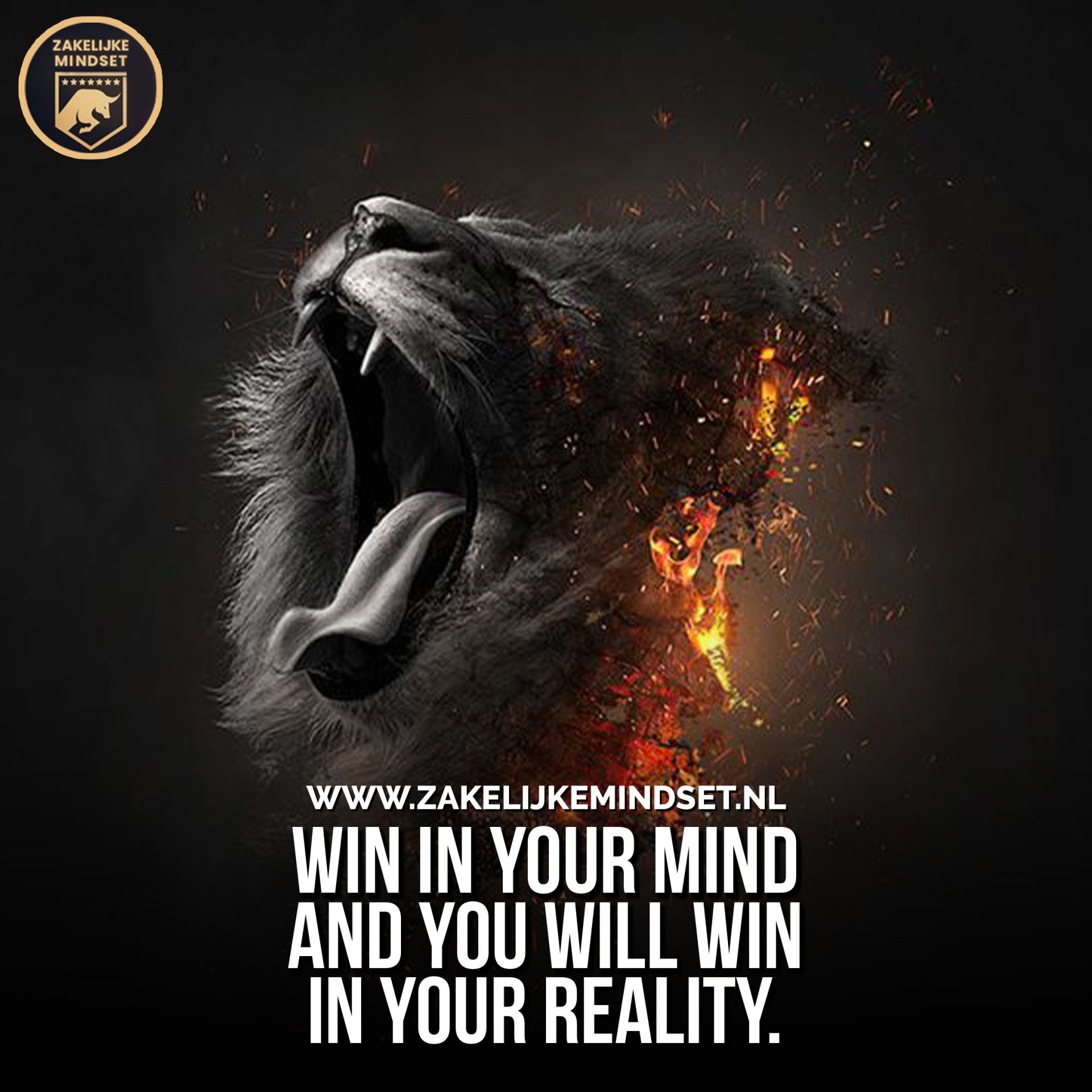 Mindset Quotes - 500 Mindset Quote | Quote over geld + business Quotes