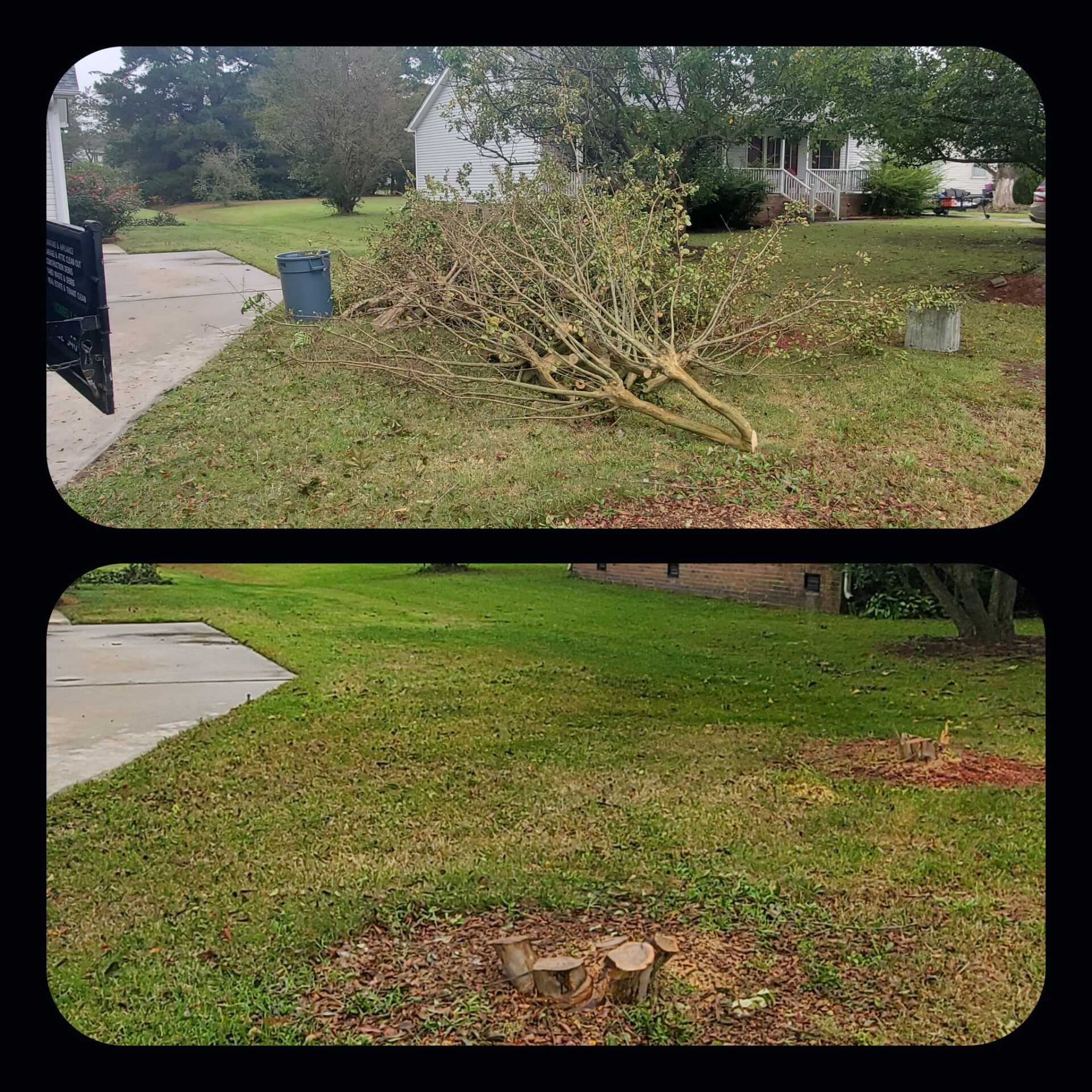 Yard Waste And Debris Removal In Elizabeth City, NC | Hall's Hauling