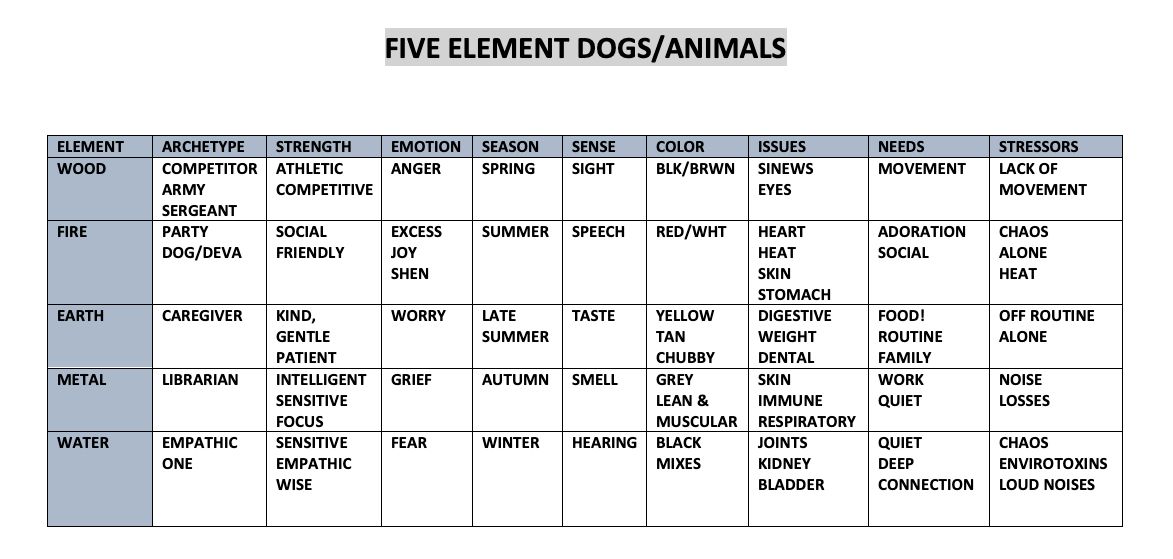 Know Your Dog's True Nature with the Five Chinese Elements