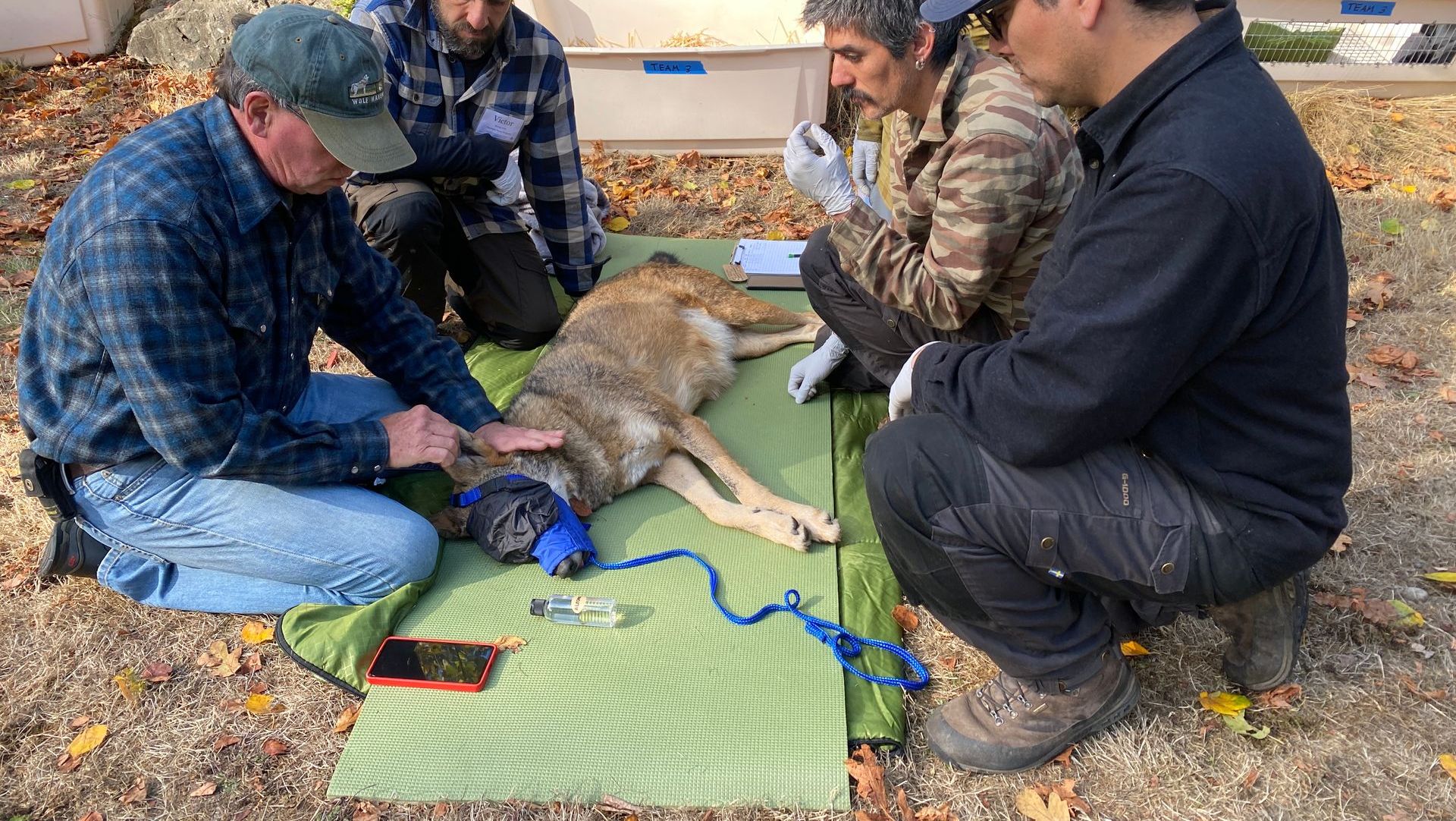 Mark Johnson, DVM | Wildlife Capture and Care Training