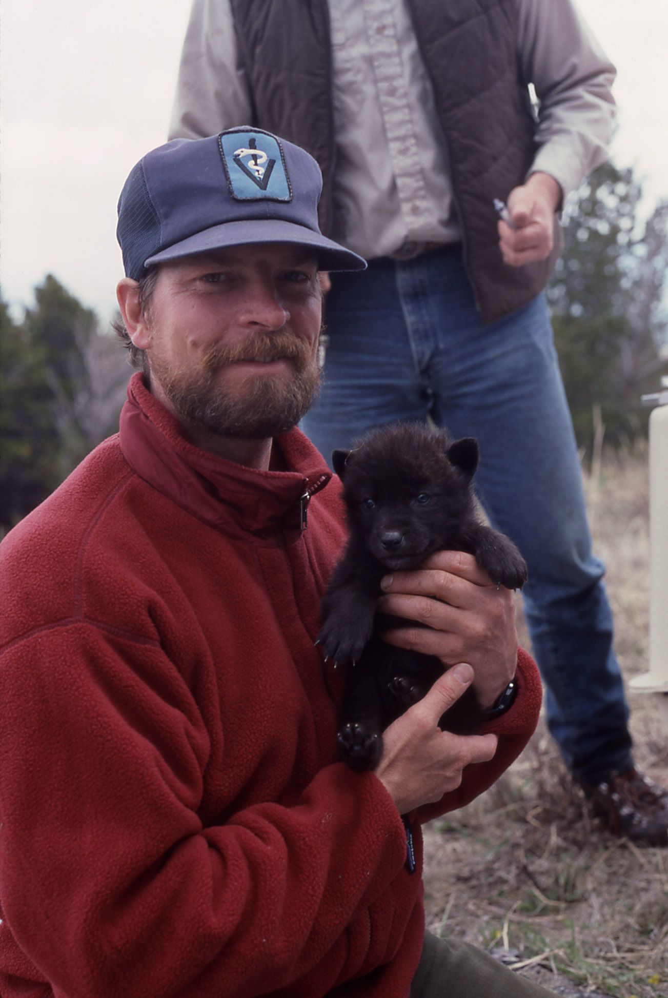 Mark Johnson, DVM | Wildlife Capture and Care Training