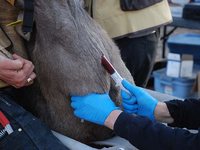 Online Training | Global Wildlife Resources