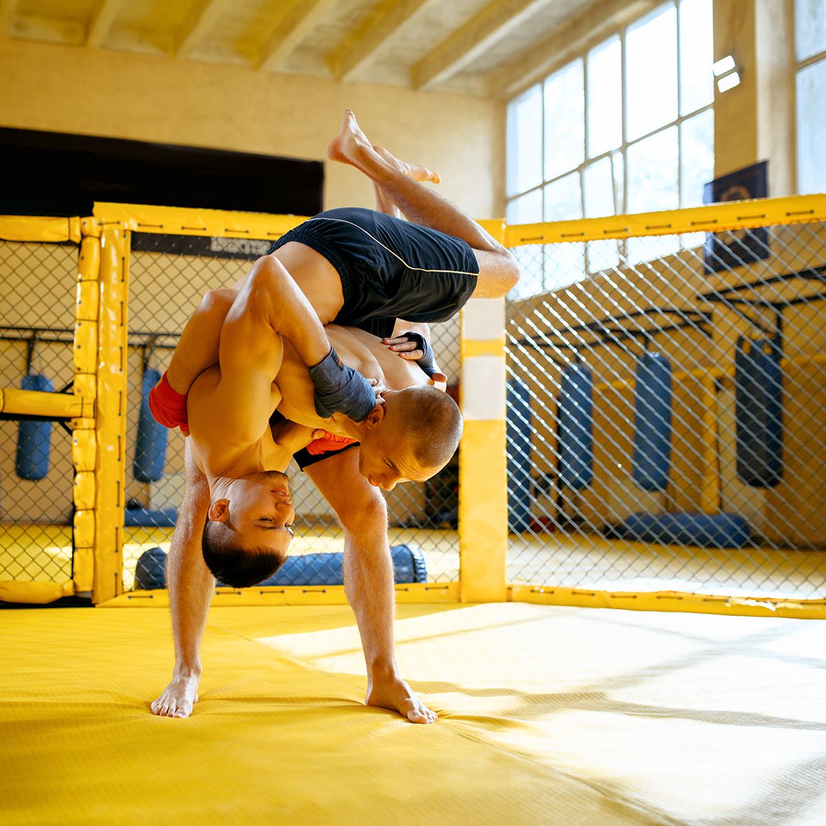Rock Solid Martial Arts | Bellingham MMA