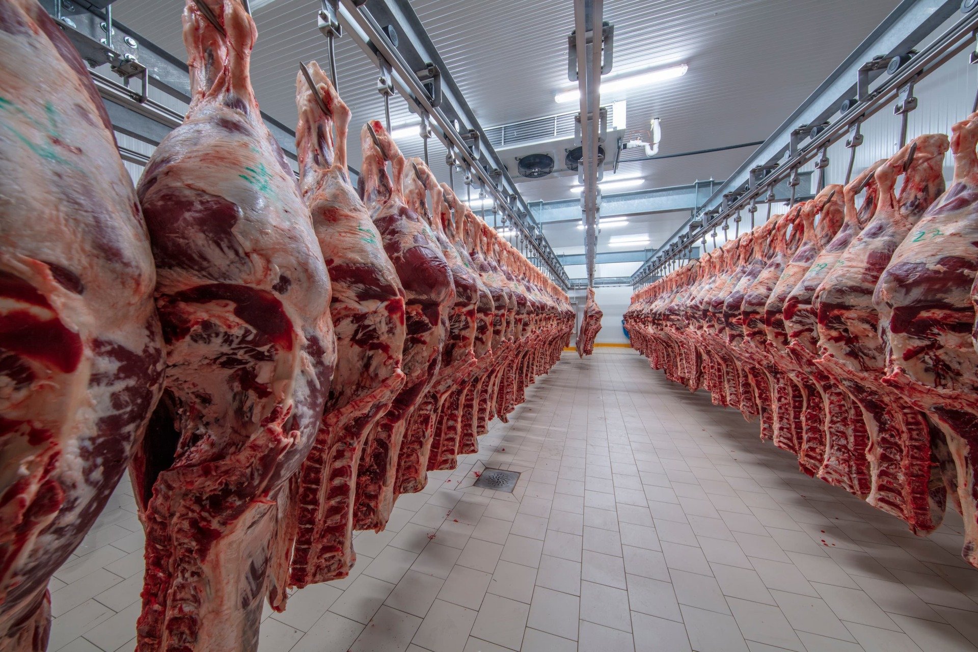 Meat Processing, Meat Processor | Peck, MI | Johnston's Meat Company