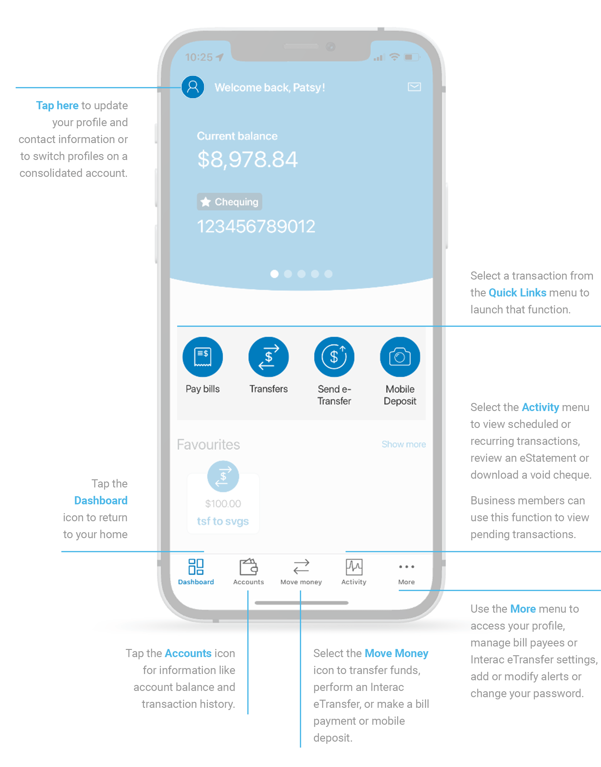 Vision's New Mobile App