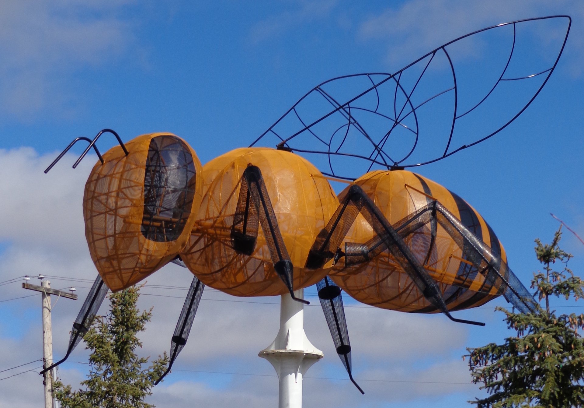 Stories of Alberta: Falher’s Honeybees