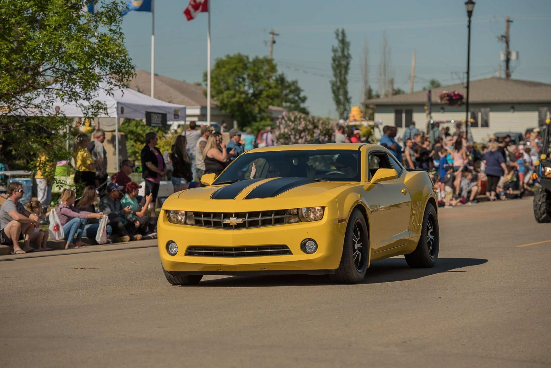 Stories of Alberta: Falher’s Honeybees