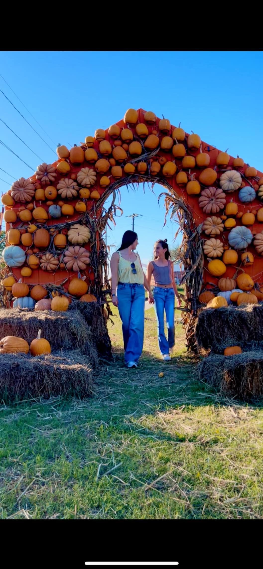 Pumpkin Patch Near Dyersburg TN | River City Adventure Park