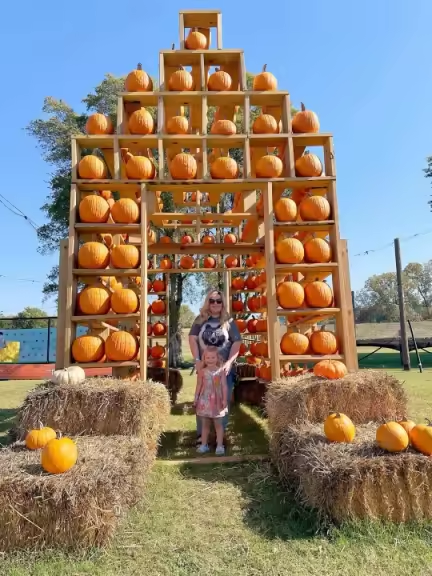 Pumpkin Patch Near Dyersburg TN | River City Adventure Park