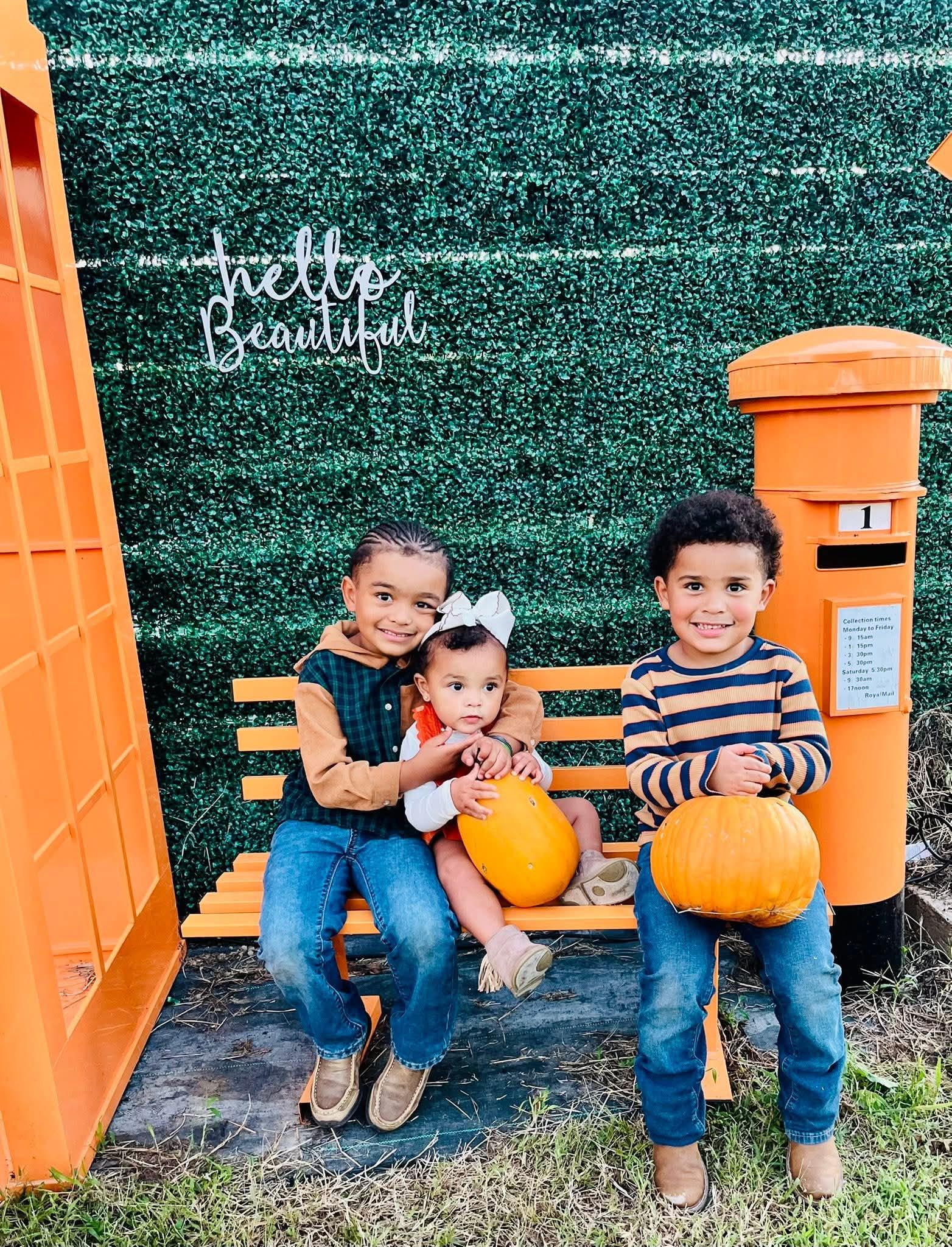 Fun Farm- Pumpkin Patch - Adventure Park