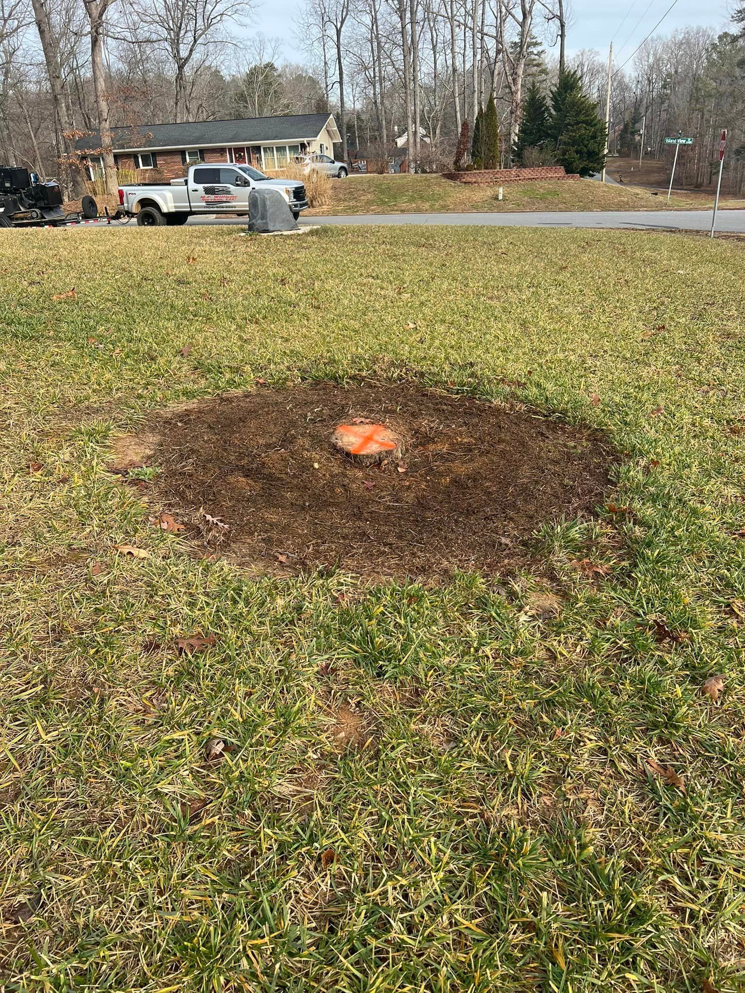 Stump Removal | MP Williams Services, LLC | Polkton, NC