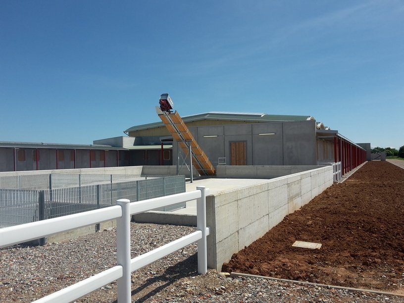 Gestione letame: carico e nastri trasportatori per letame