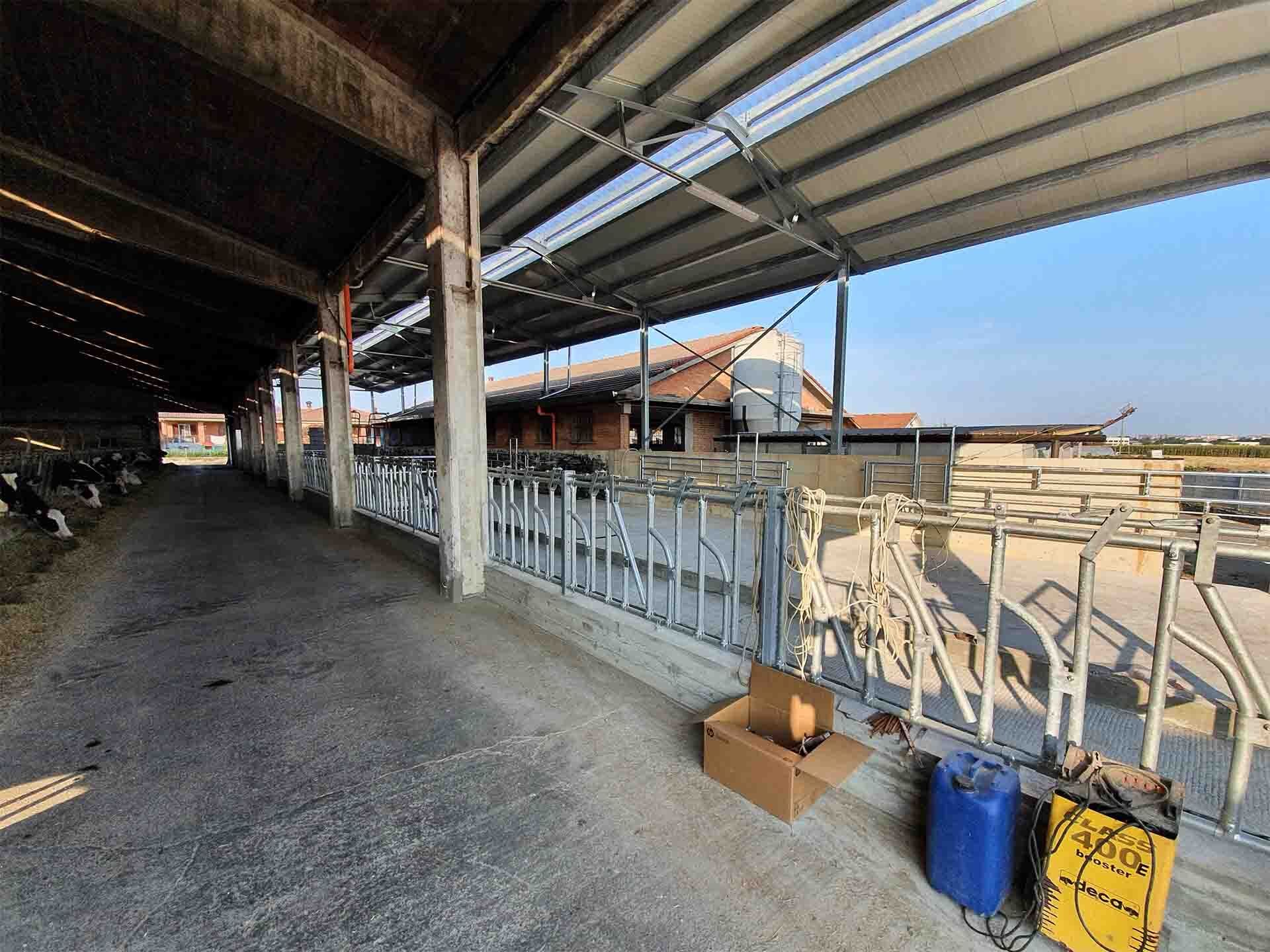 Autocatture per bovini, stalle, cuccette, barriere e box