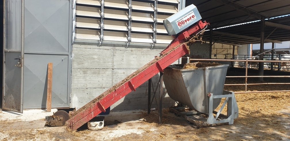 Gestione letame: carico e nastri trasportatori per letame