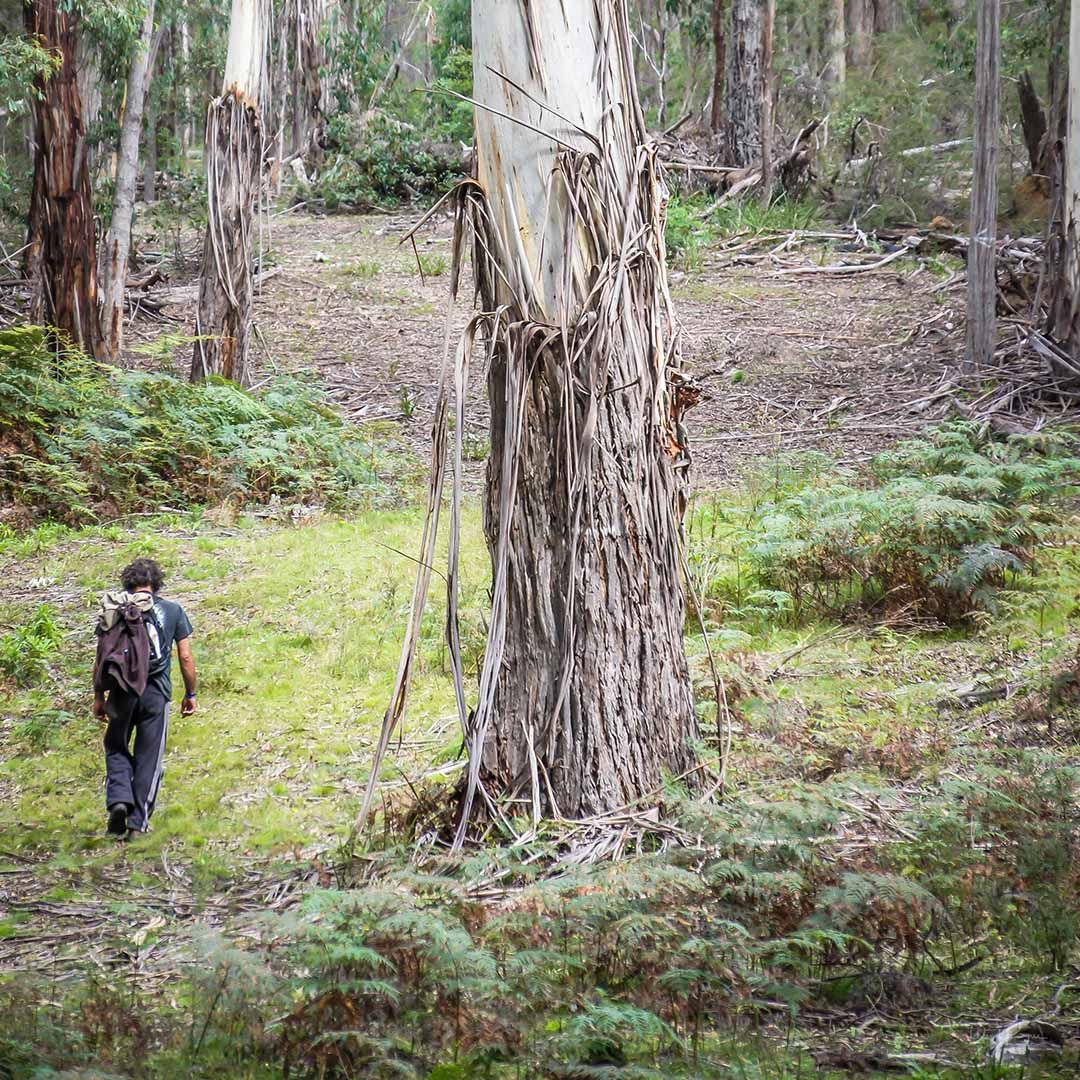 Discover the Bundian Way