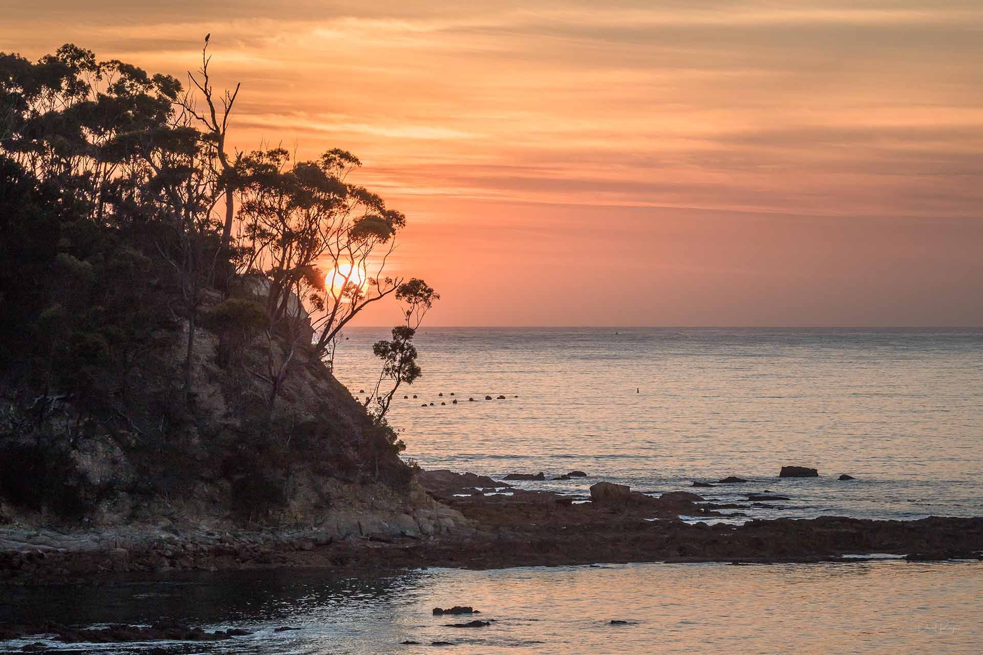 Discover the Bundian Way Story Trail, Eden