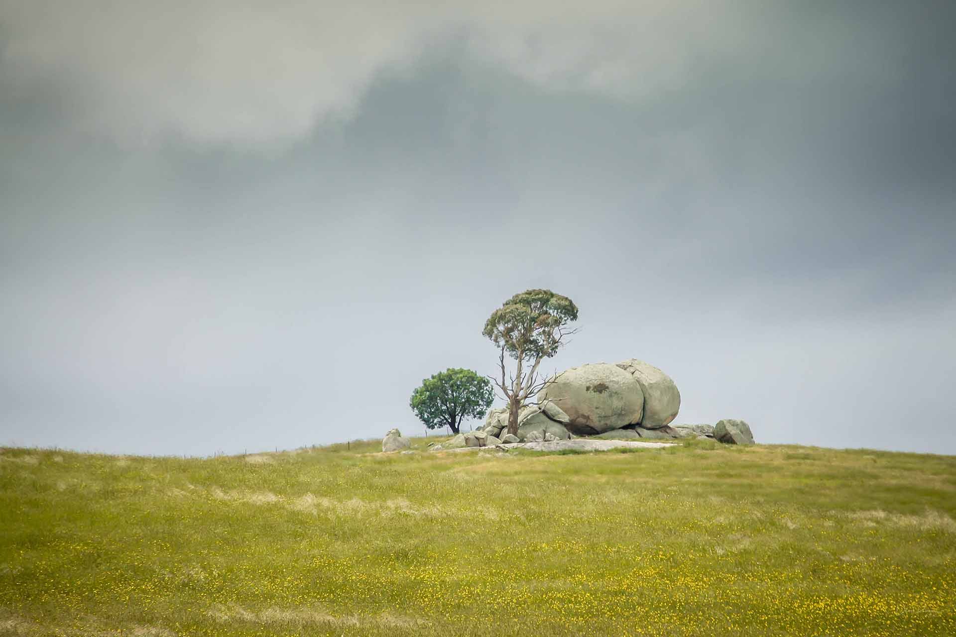 Discover the Bundian Way