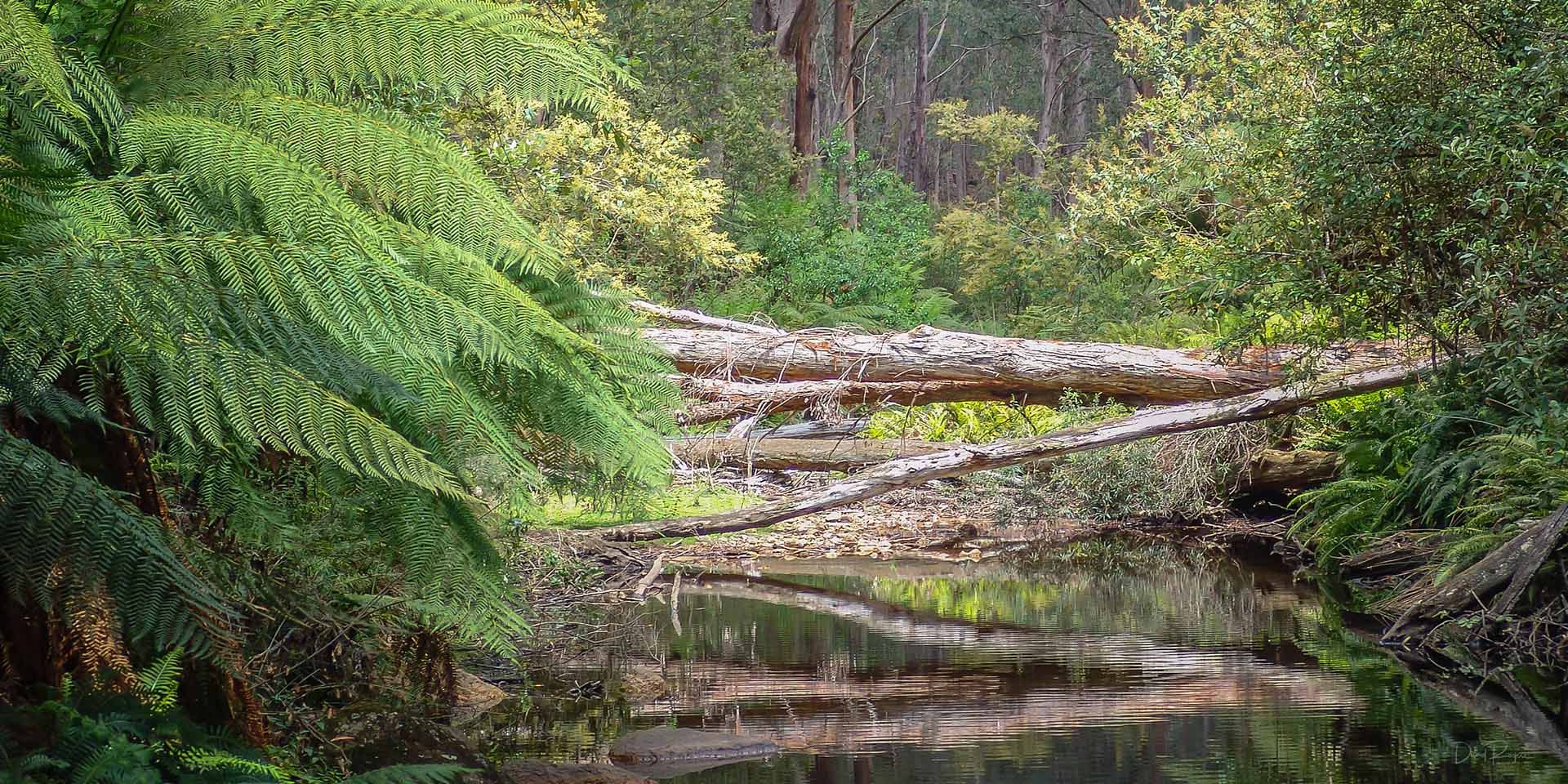 Bundian Way Route - from the mountains to the sea