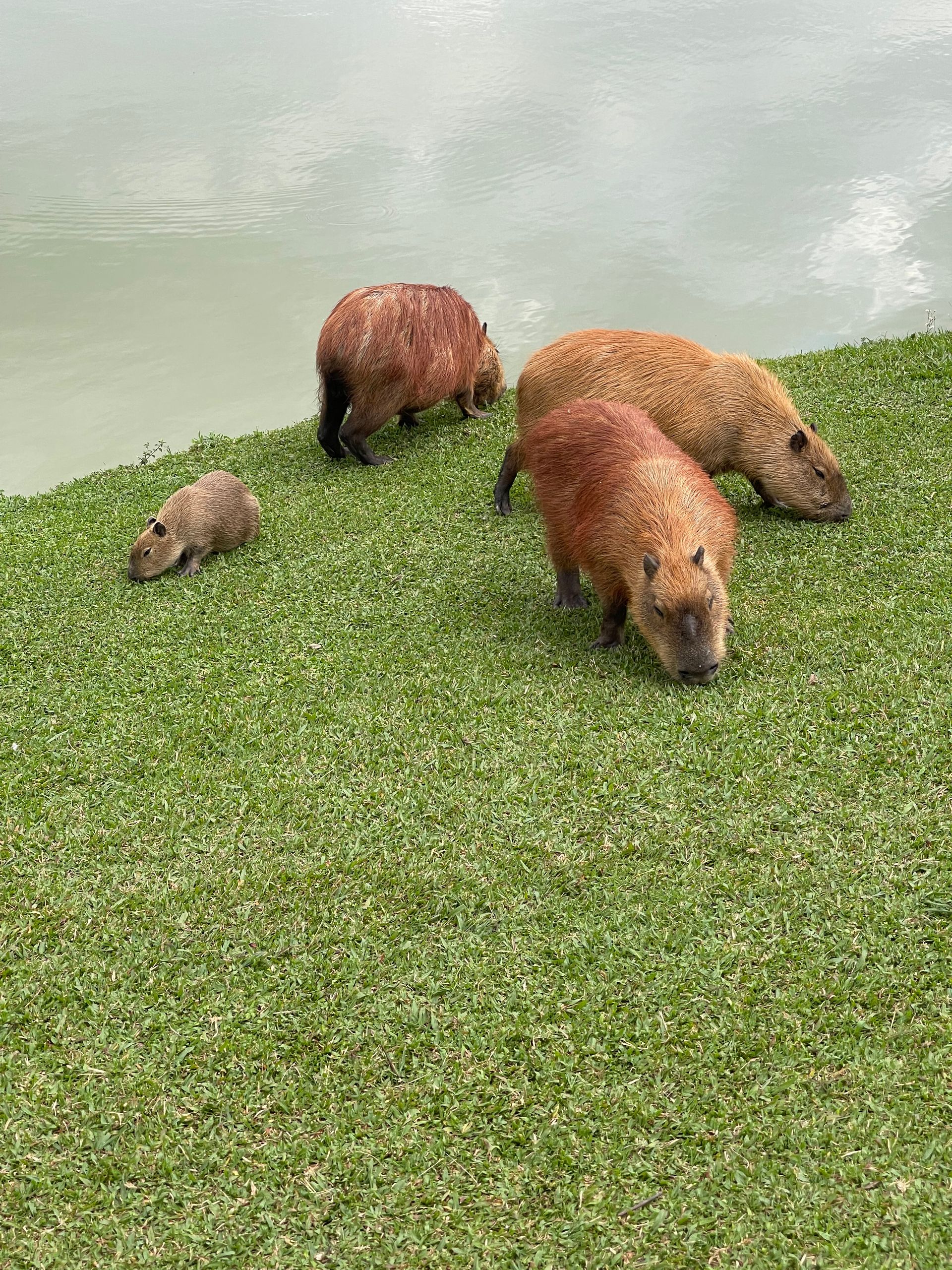 Michael Copeland | mjcopeland.realtor