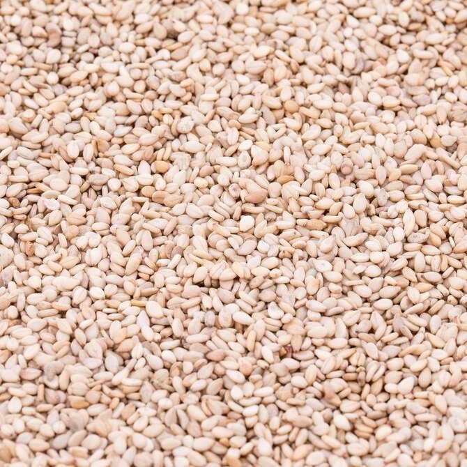 Natural Sesame Seeds