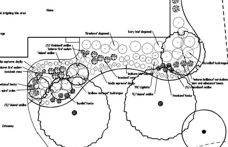 What is Our Landscape Design Process?