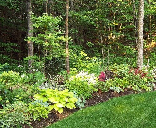 Landscape Design in Wooded Areas