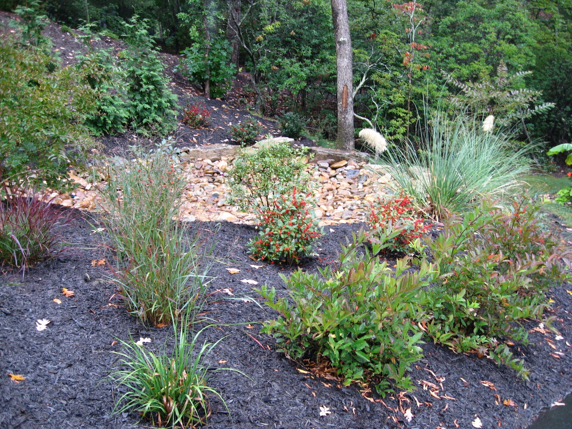 Rain Garden Construction