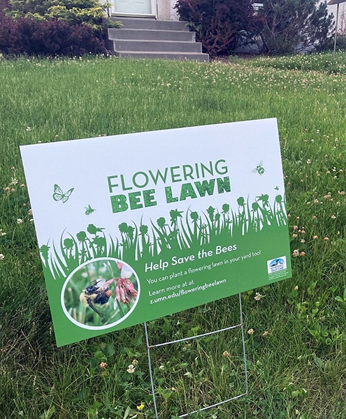 Low Mow & Bee Friendly Lawn Ideas for Minnesota Yards