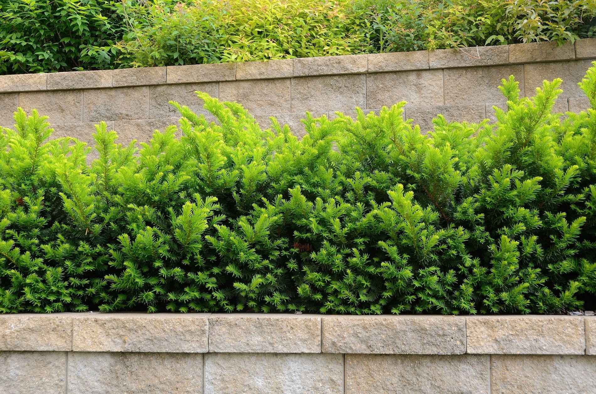 Unique Retaining Wall Ideas