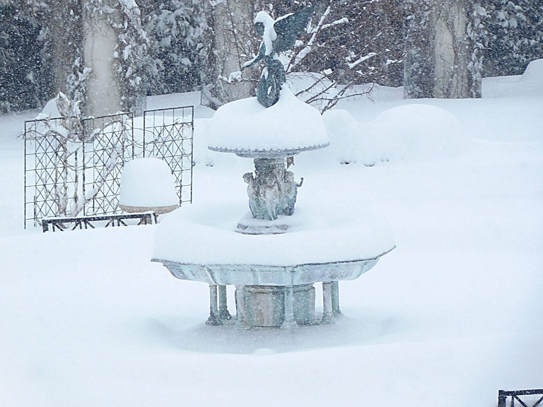 Winterizing Your Water Feature